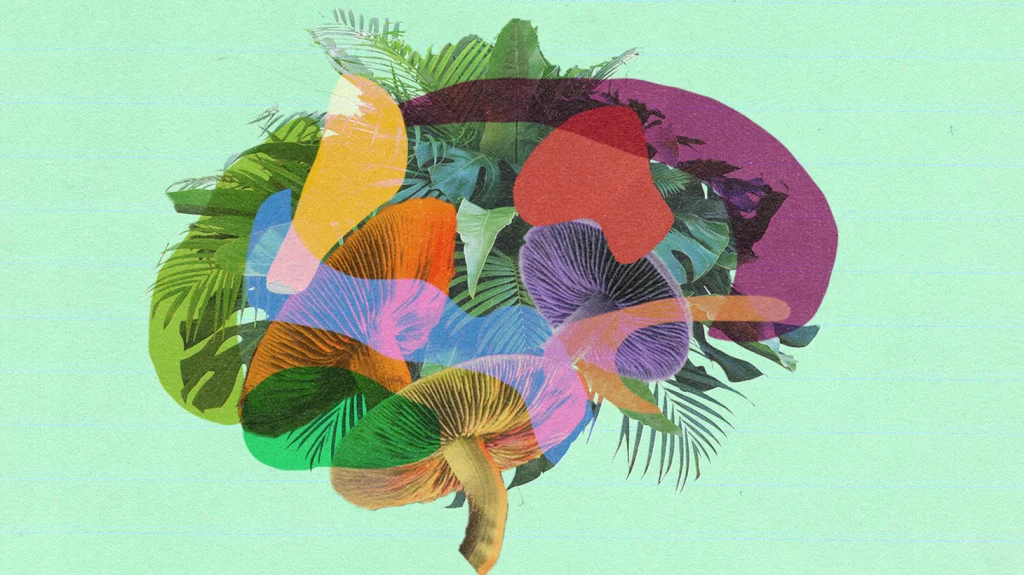 Michael Pollan’s Long and Strange Trip: Shifting Perspectives on Food ...